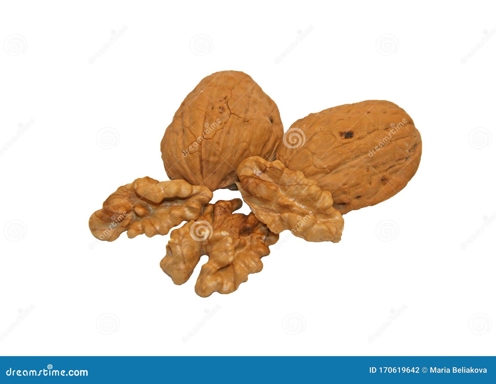 The Walnut Split In Half. Walnut On A White Background, You Can See The ...
