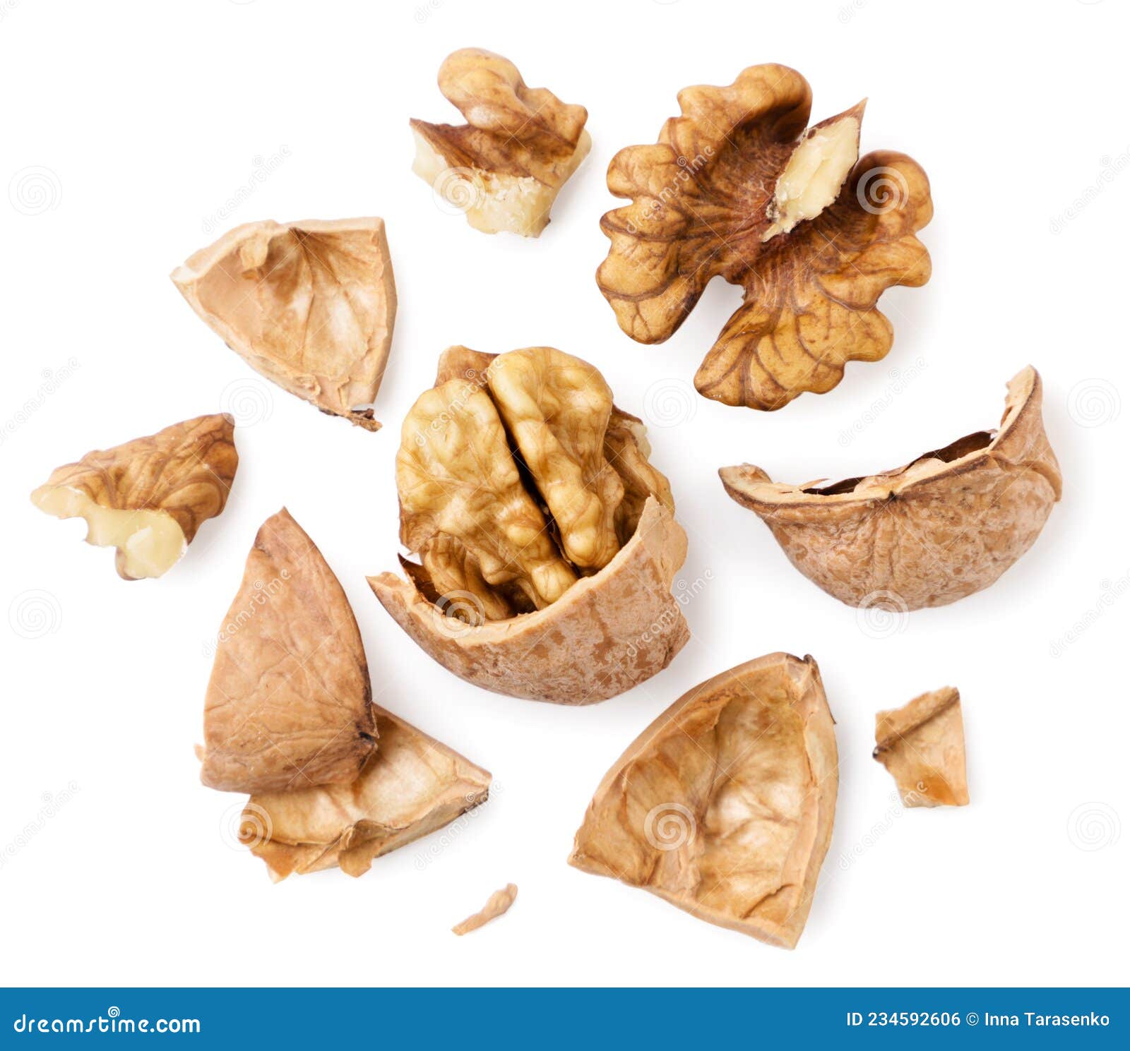 The Walnut Split In Half. Walnut On A White Background, You Can See The ...