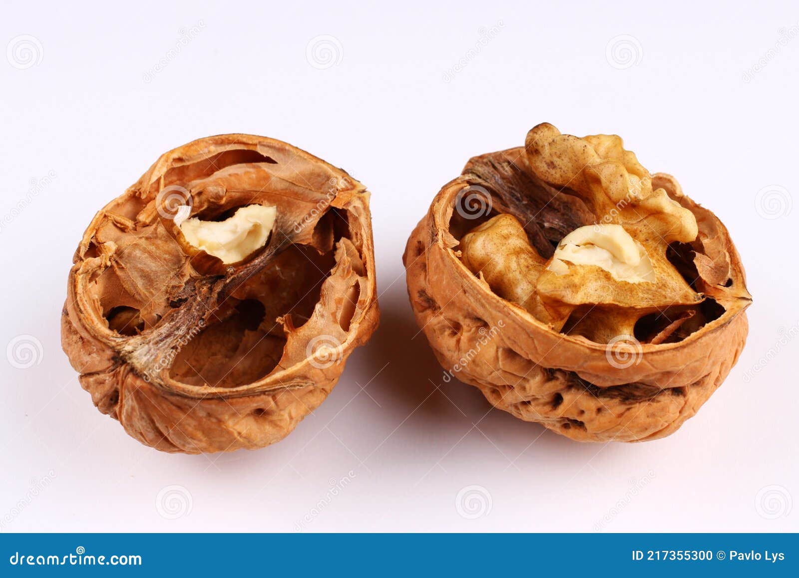 The Walnut Split In Half. Walnut On A White Background, You Can See The ...