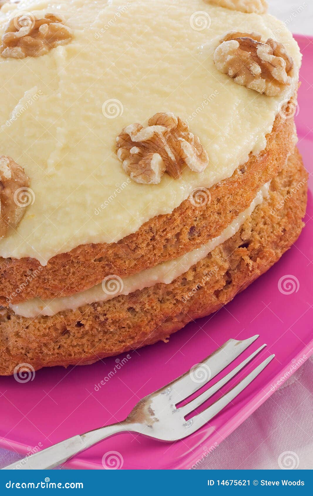 Walnut Sponge Cake stock image. Image of nutrition, sweet - 14675621