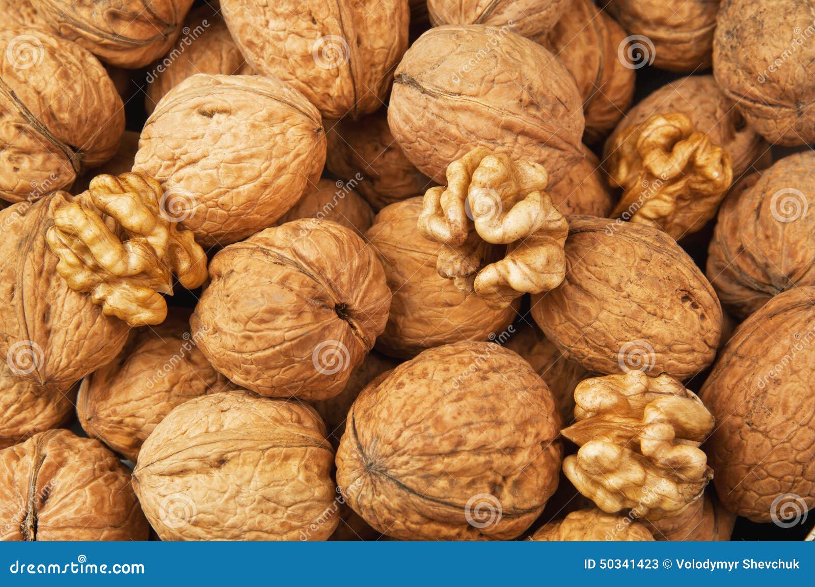 Walnut texture stock image. Image of large, medicine - 50341423