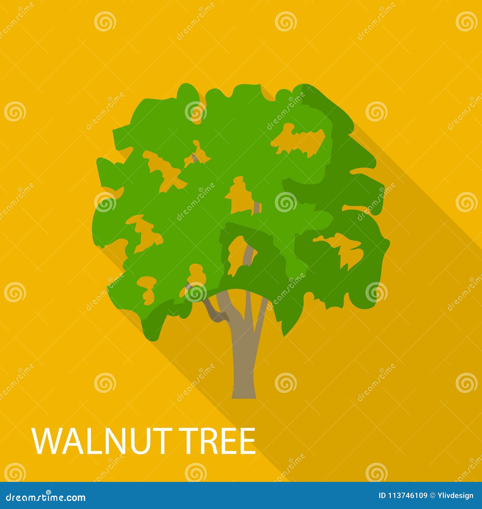 Walnut Tree Icon, Flat Style Stock Vector - Illustration of plant ...