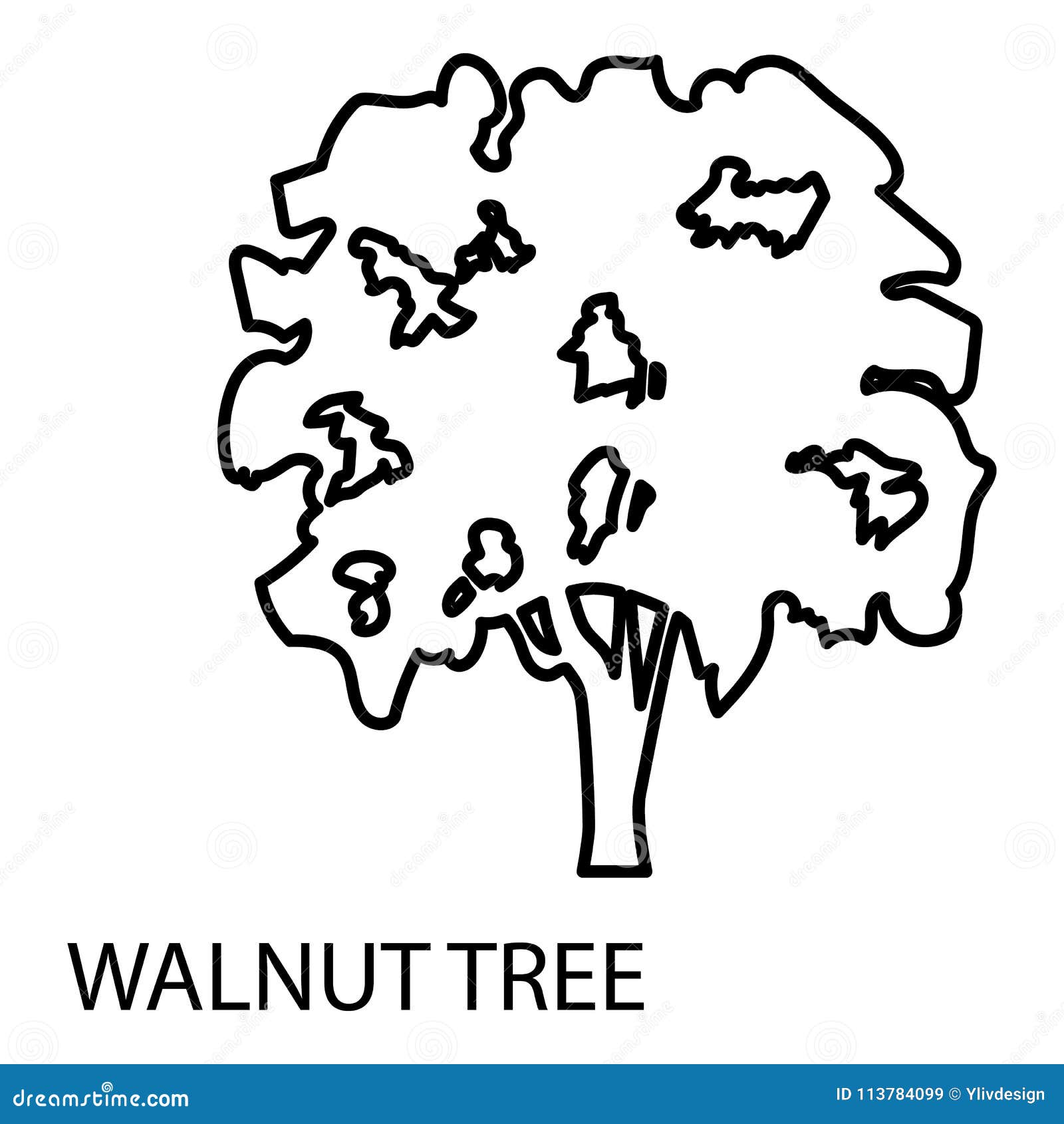 Walnut Tree Icon, Outline Style Stock Vector - Illustration of sign ...
