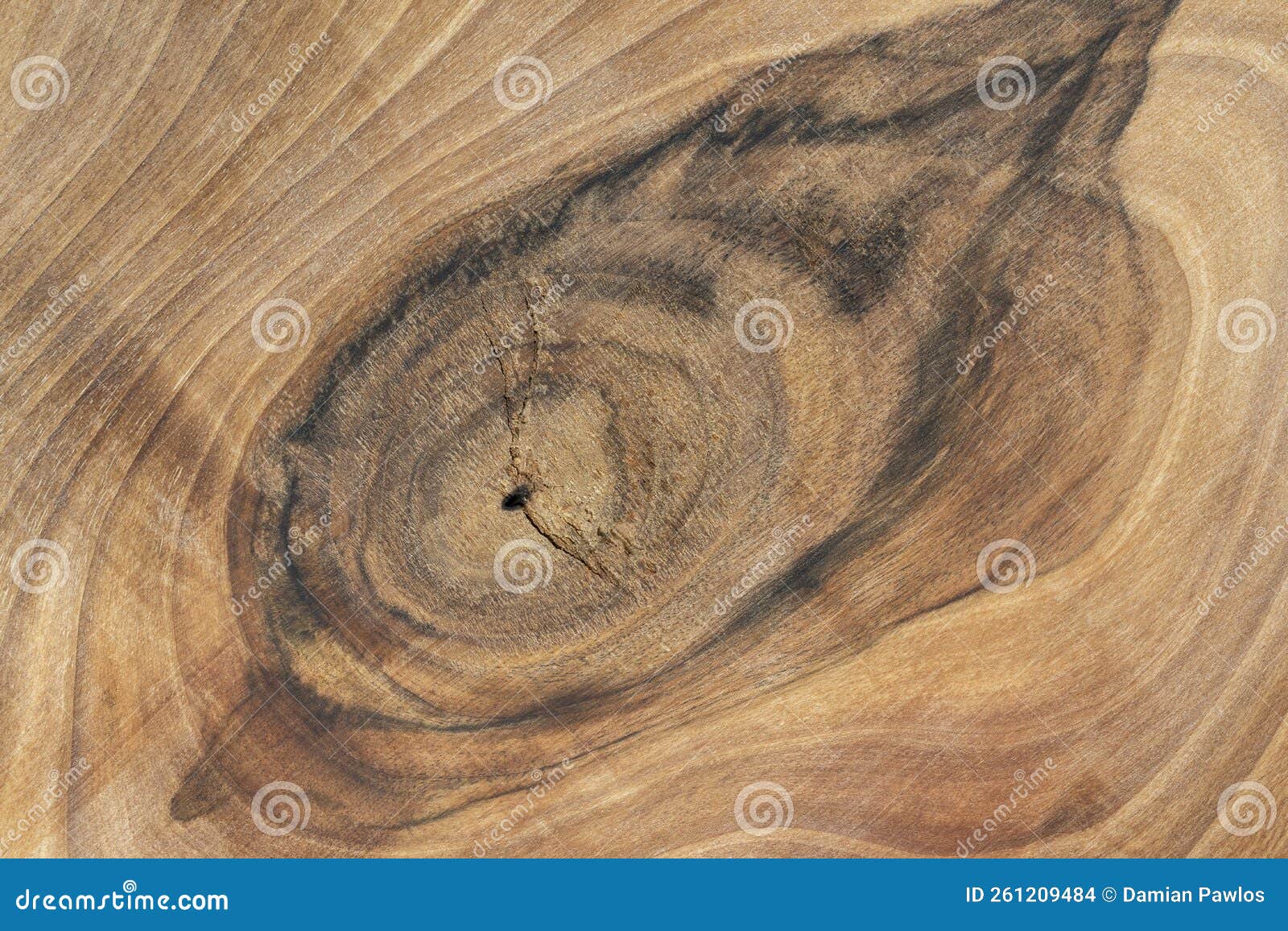 Walnut Tree Wood Texture. Natural Wooden Pattern for Backgrounds ...