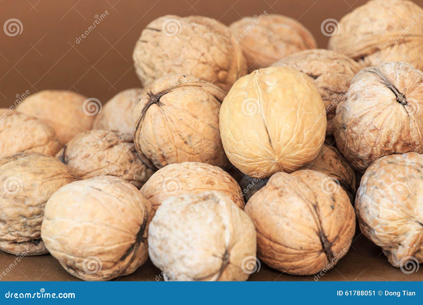 Walnut stock image. Image of food, dried, features, vegetarian - 61788051