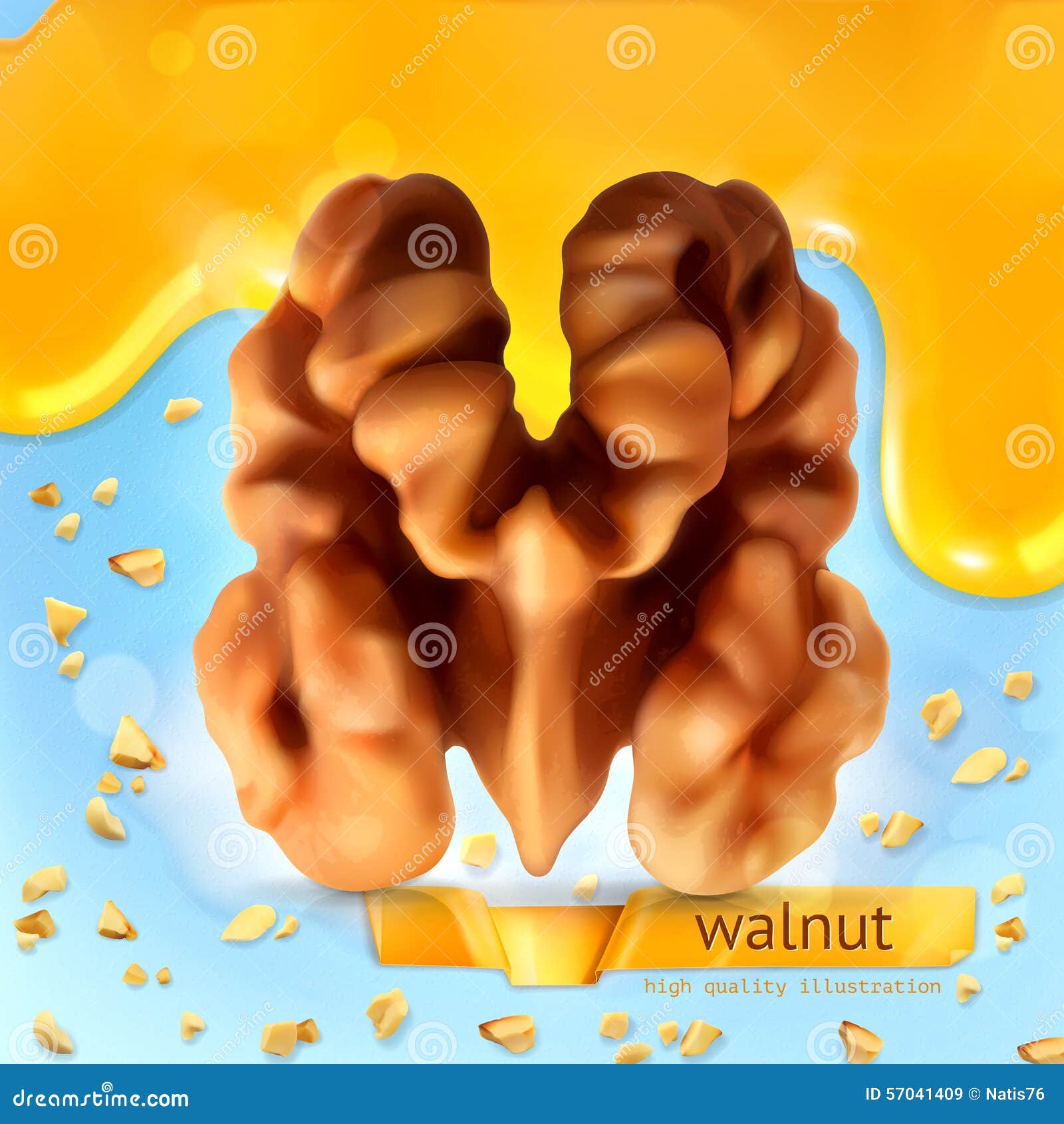 Walnut Vector Logo. Round Linear Of Walnut | CartoonDealer.com #182627352