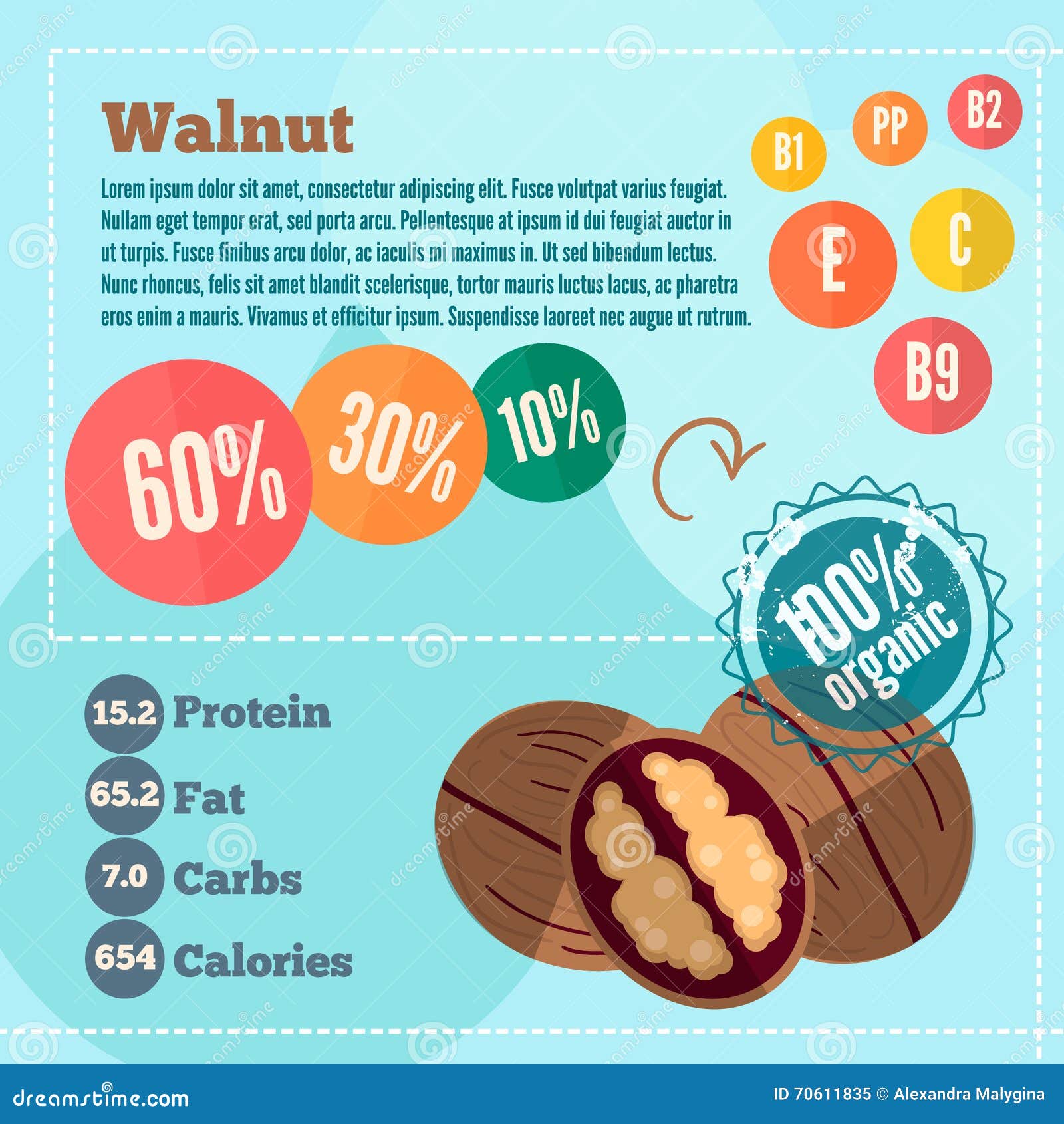 Walnut and Vitamins Infographics in a Flat Style Stock Vector ...