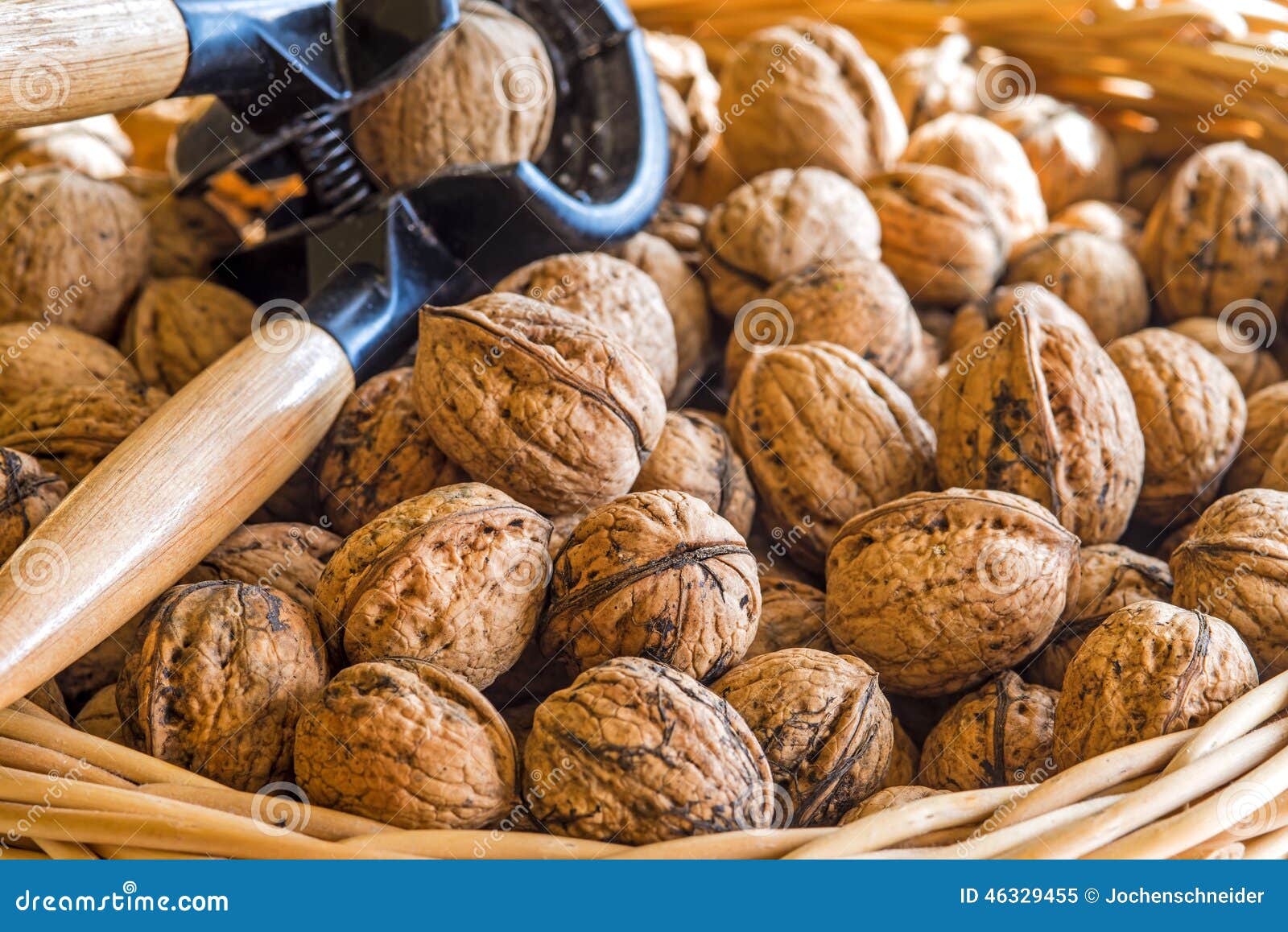 Walnut stock image. Image of collect, fruit, snack, sugar - 46329455