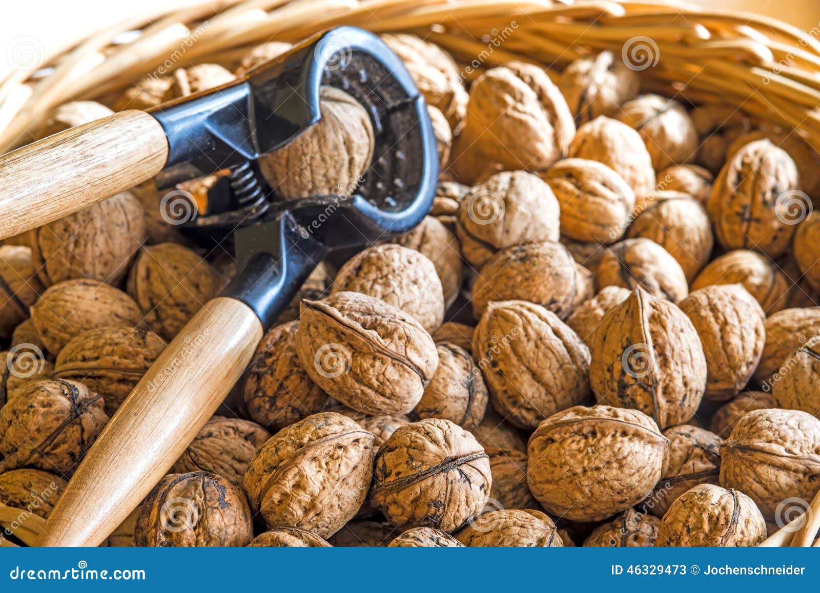 Walnut stock image. Image of sugar, fresh, sport, healthy - 46329473
