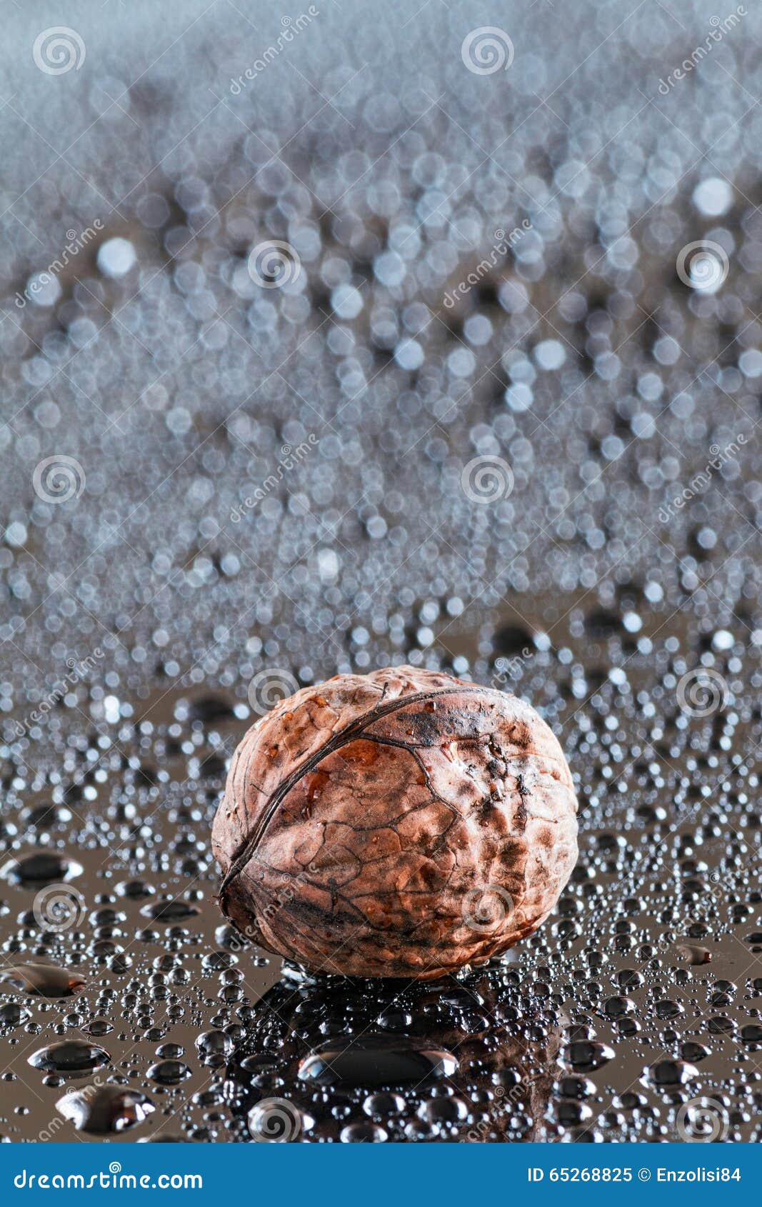 Walnut with water stock image. Image of edible, nutritious - 65268825