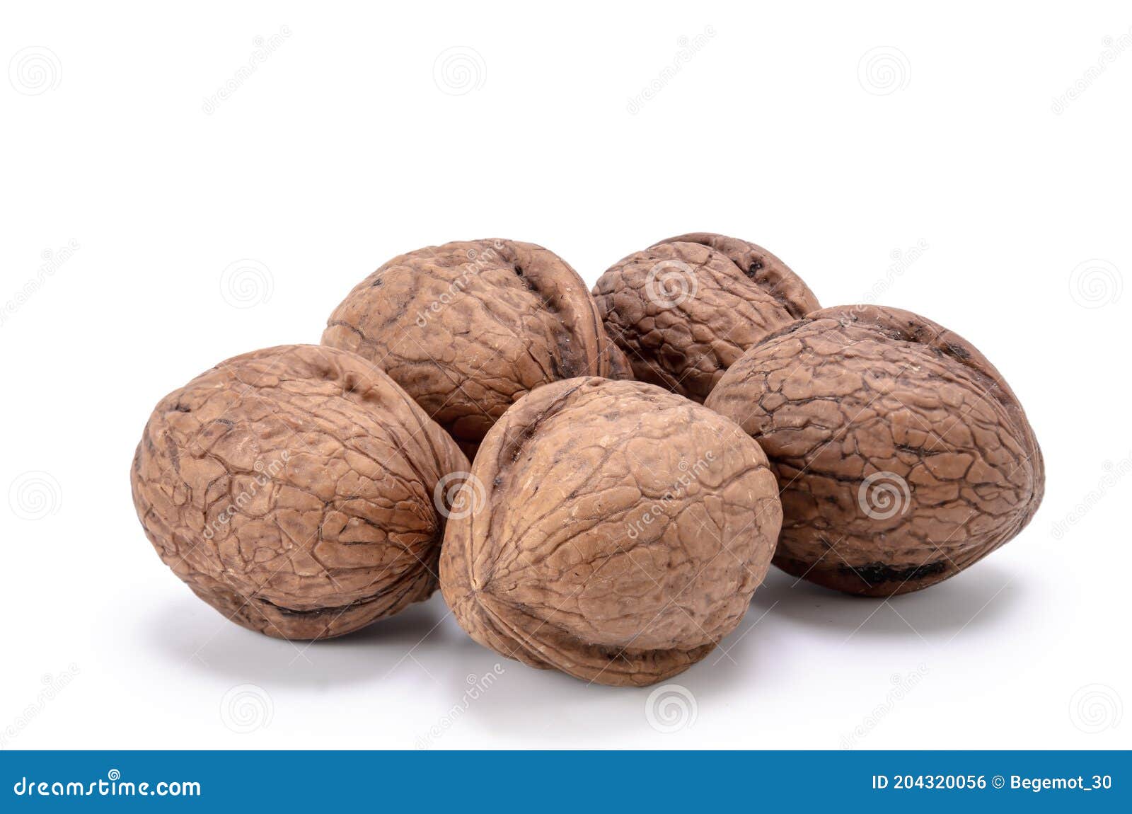 Walnut On The White Background. Close Up Shot Of Whole Walnut Isolated ...