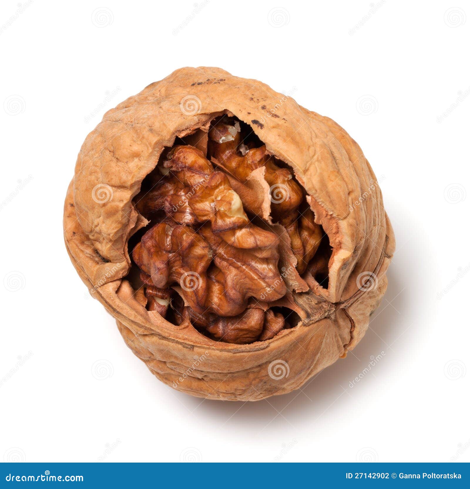 Walnut on white background stock photo. Image of husks - 27142902