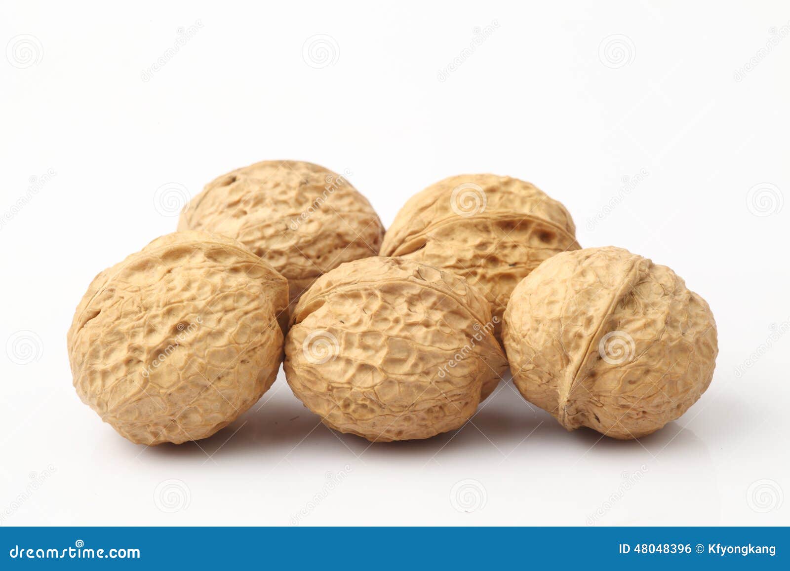 Walnut stock photo. Image of natural, macro, ingredient - 48048396