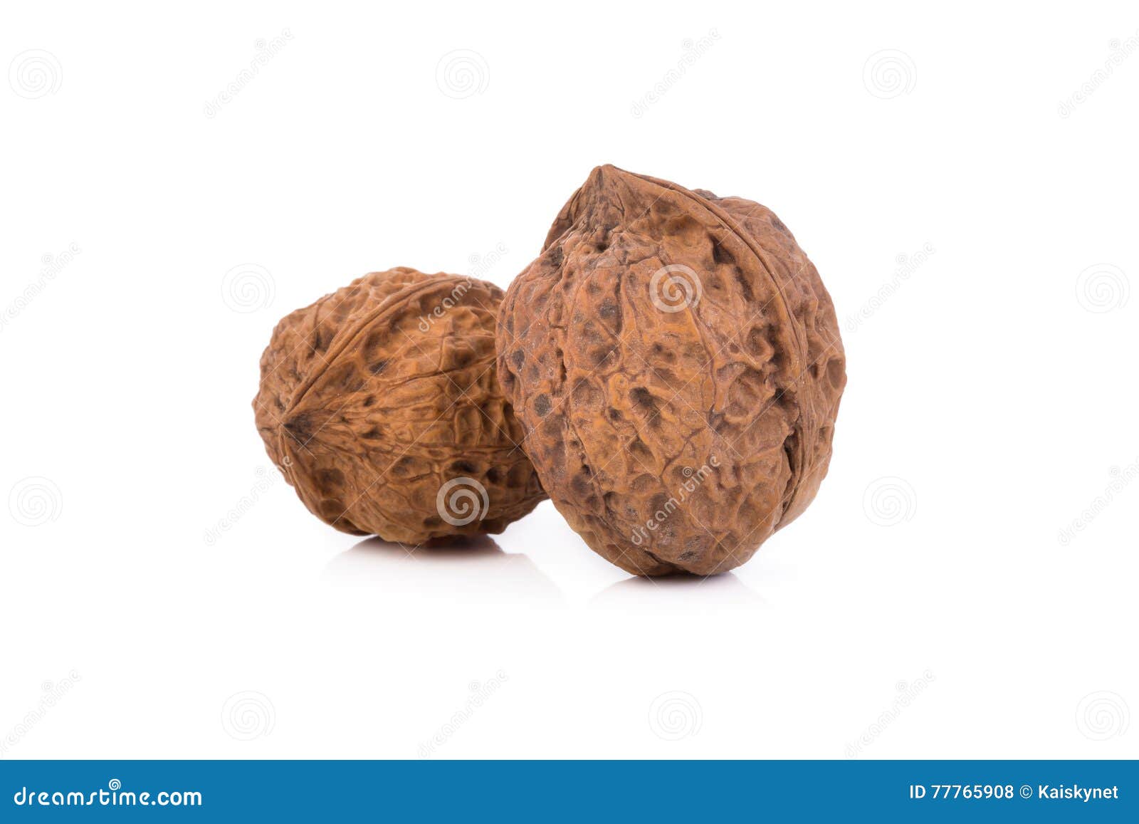 Walnut on the White Background Stock Photo - Image of healthy, diet ...