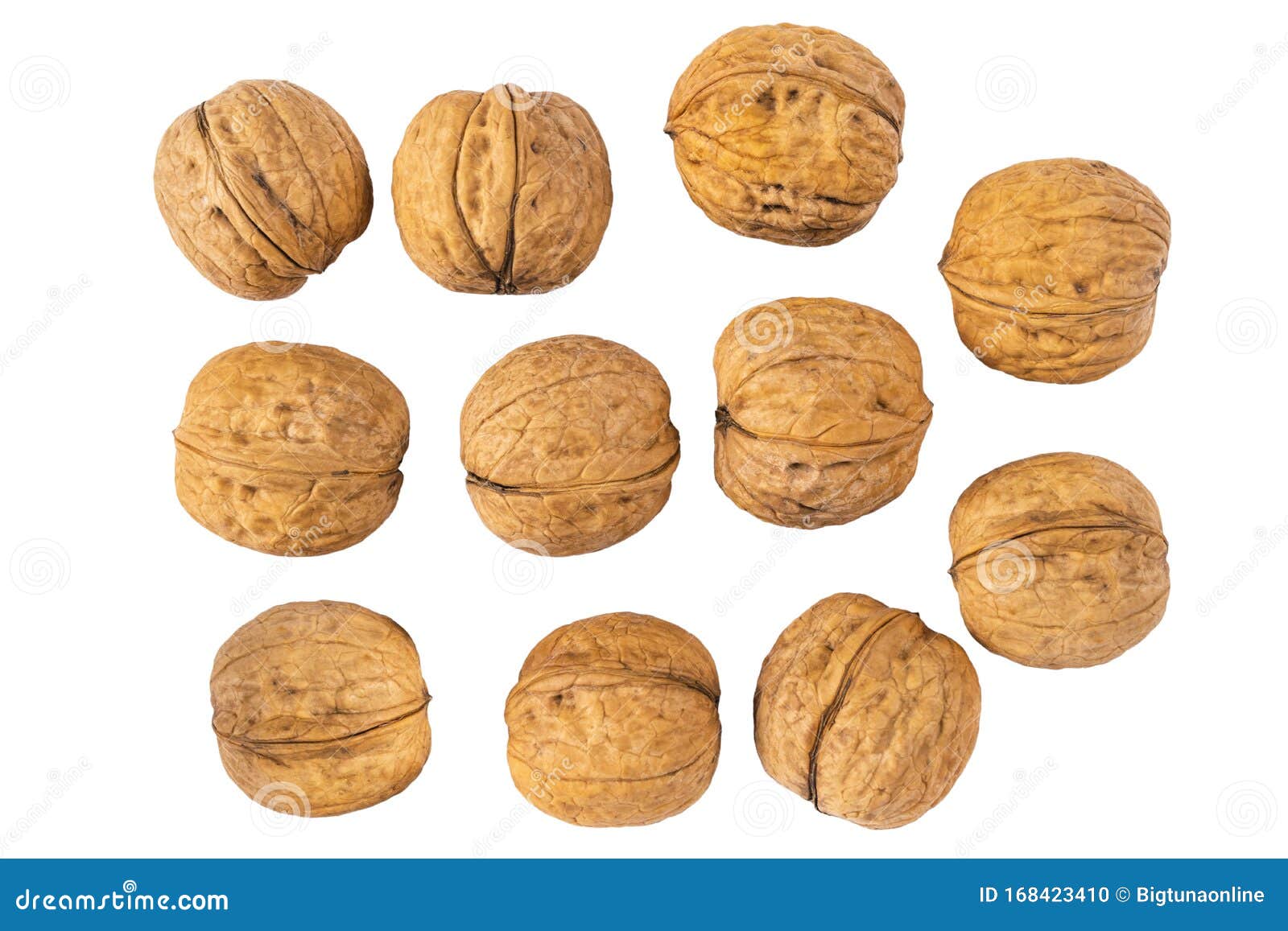 Walnut On The White Background. Close Up Shot Of Whole Walnut Isolated ...