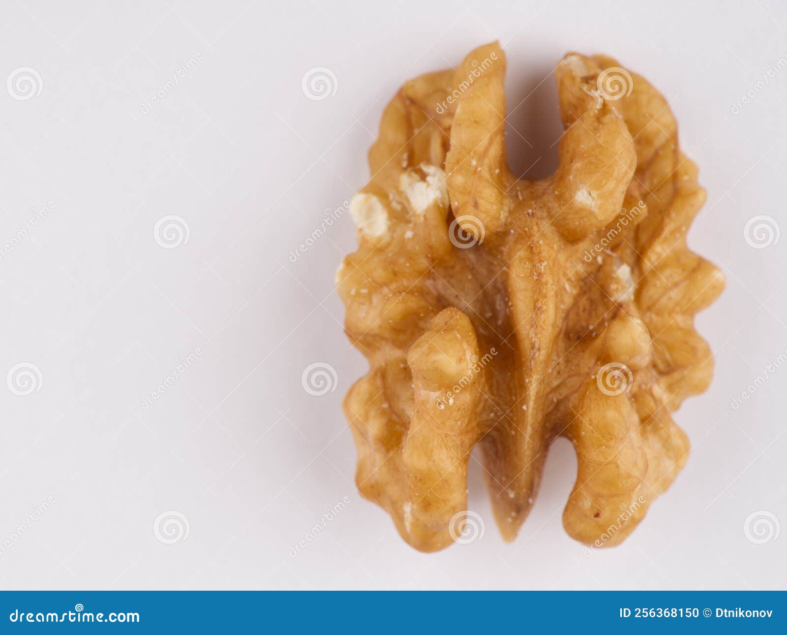 Walnut on a White Background Closeup. Macro Stock Photo - Image of ...