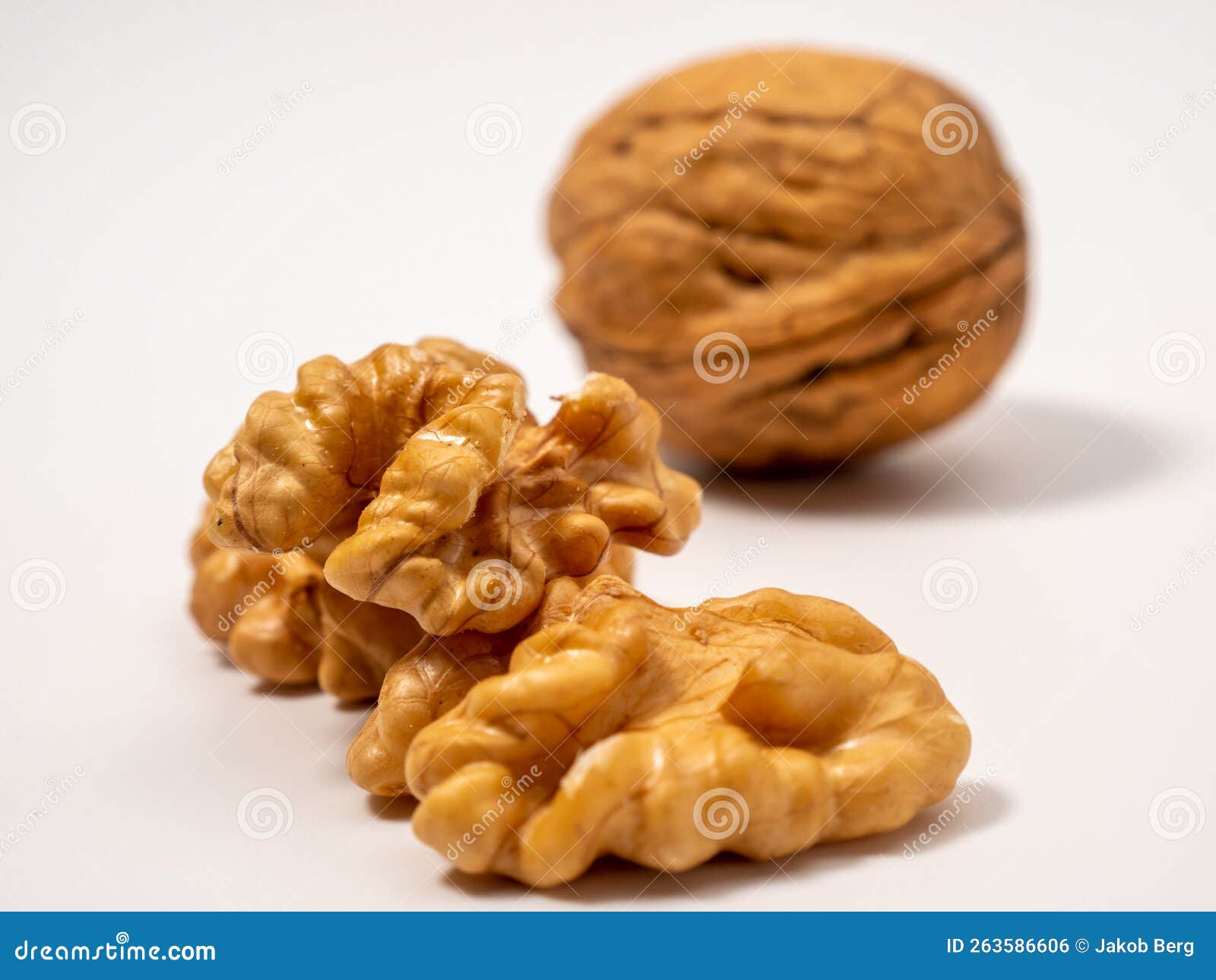 Walnut on a White Background. Raw Walnut Stock Photo - Image of seed ...