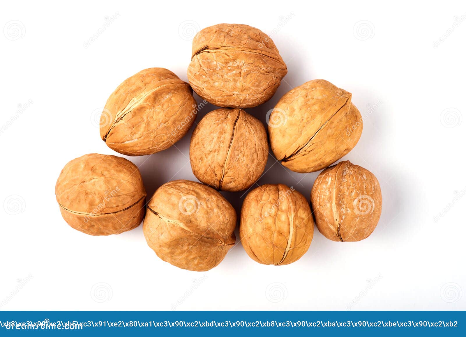 Walnut on a White Background. Stock Image - Image of delicious, brown ...