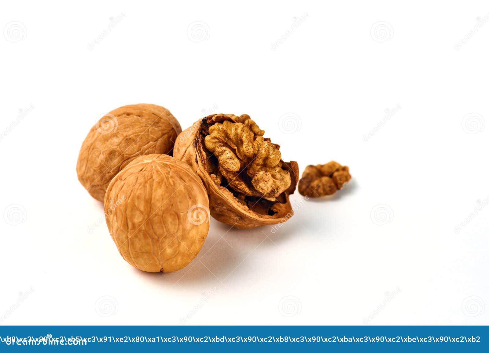 Walnut on a White Background. Stock Photo - Image of healthy, closeup ...