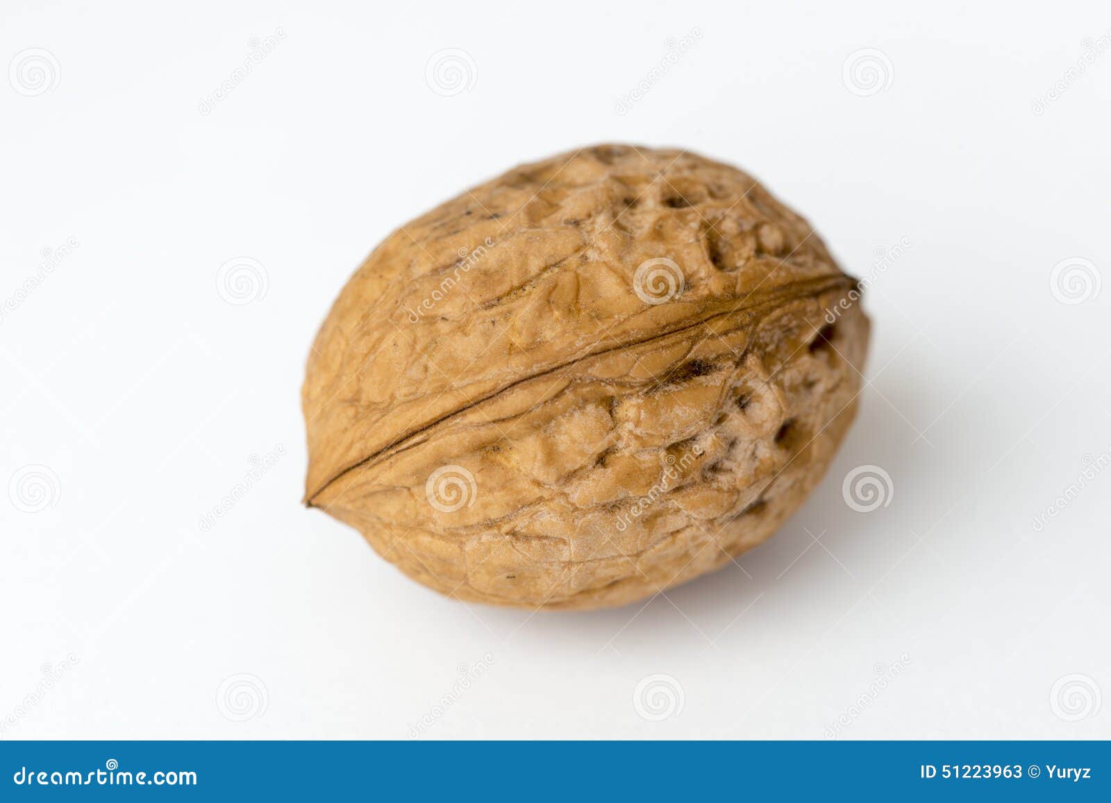 Walnut On The White Background. Close Up Shot Of Whole Walnut Isolated ...