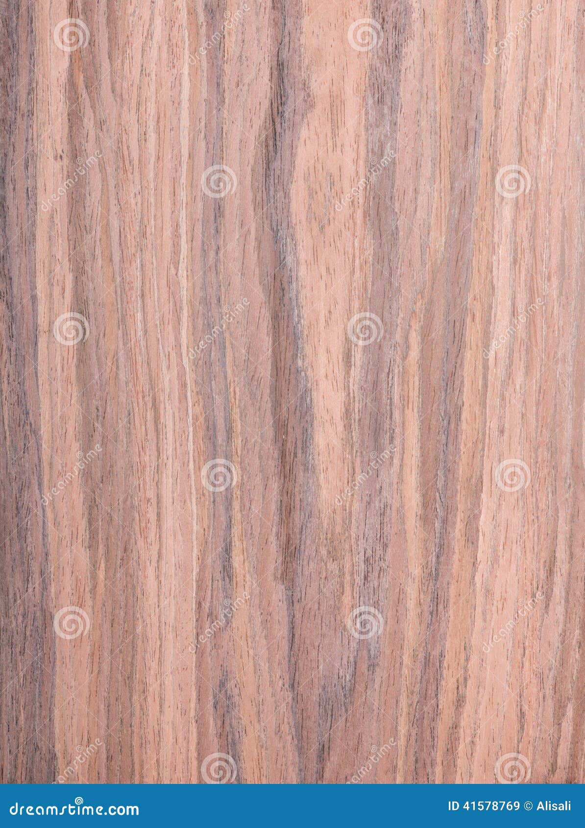 Walnut, Wood Grain, Natural Rural Tree Background Stock Image - Image ...