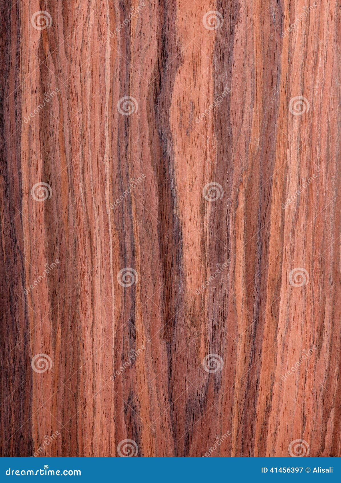 African Walnut Natural Wood Texture Royalty-Free Stock Photo ...