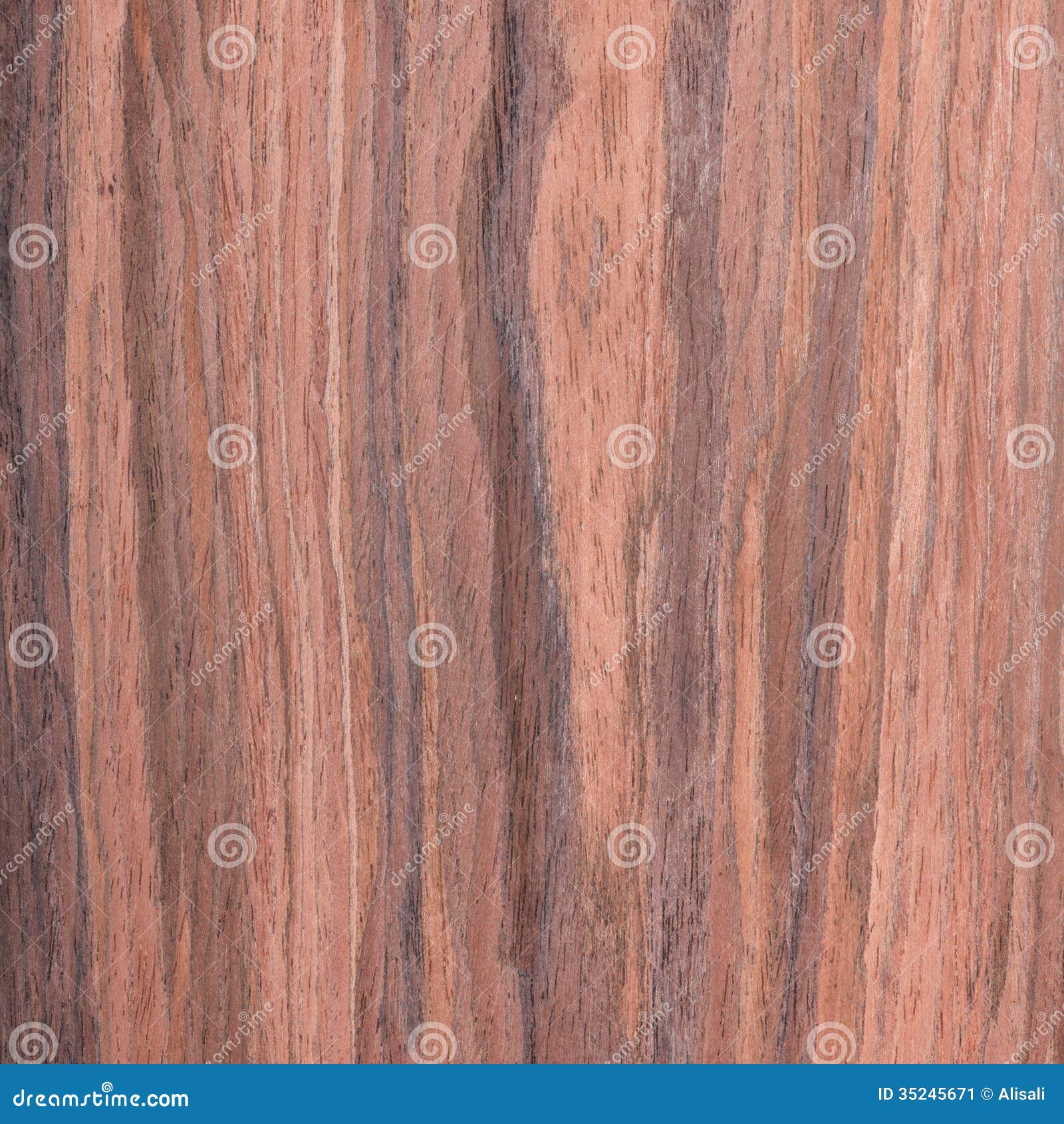 African Walnut Natural Wood Texture Royalty-Free Stock Photo ...