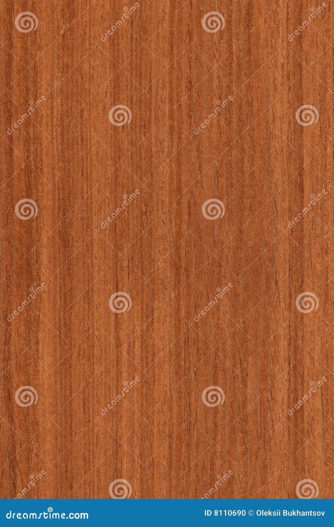 Walnut (wood texture) stock photo. Image of texture, lumber - 8110690