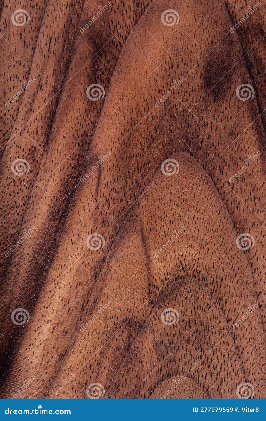 Walnut Natural Wood Texture Stock Image - Image of roots, abstract ...