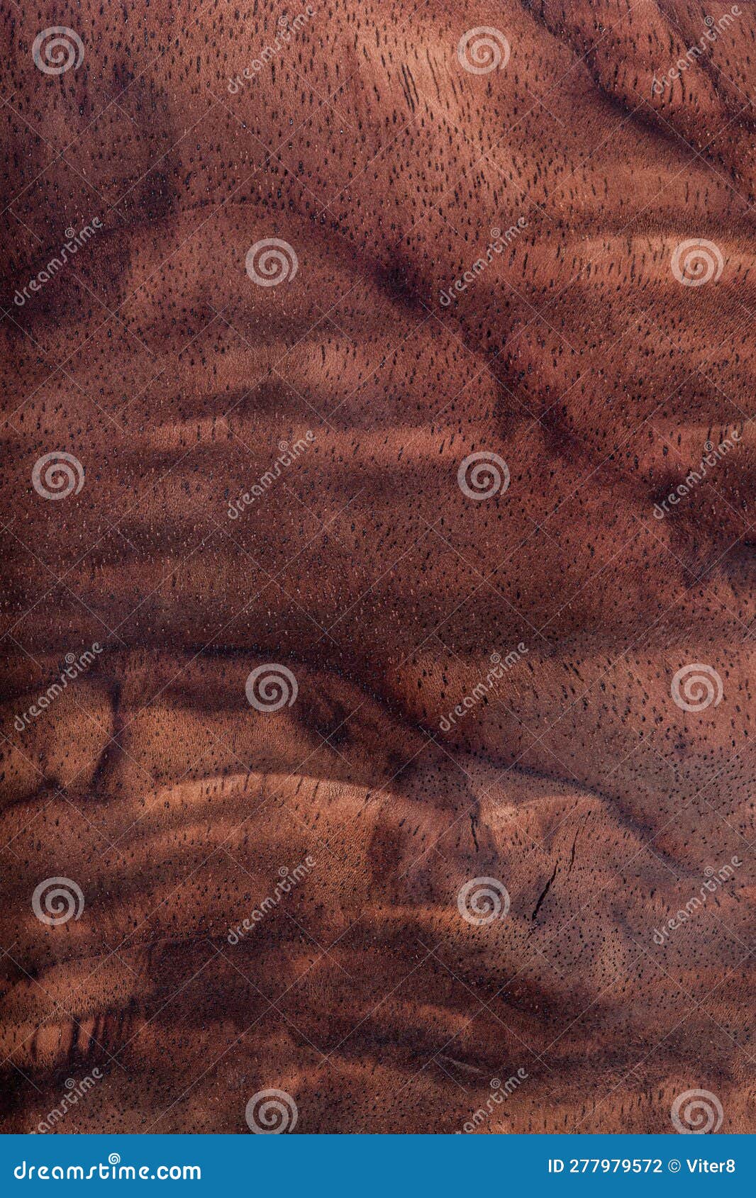 Walnut Natural Texture, Texture Elements, Texture Background.wood ...