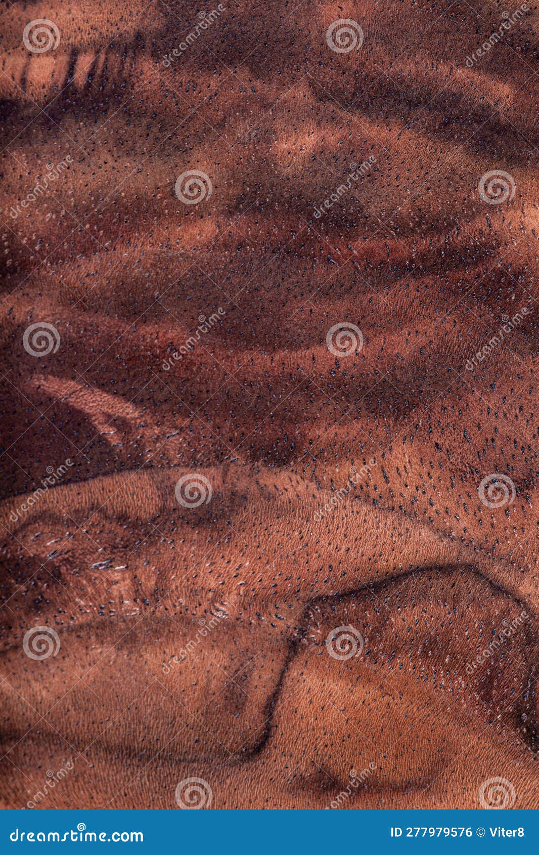 Walnut Natural Texture, Texture Elements, Texture Background.wood ...
