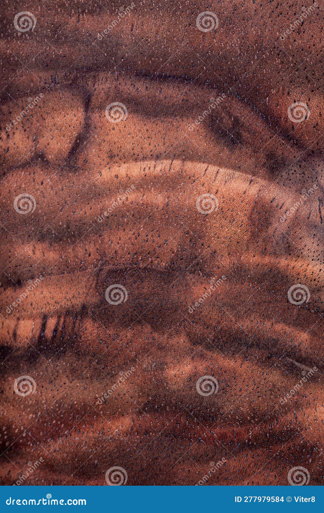 Walnut Natural Texture, Texture Elements, Texture Background.wood ...