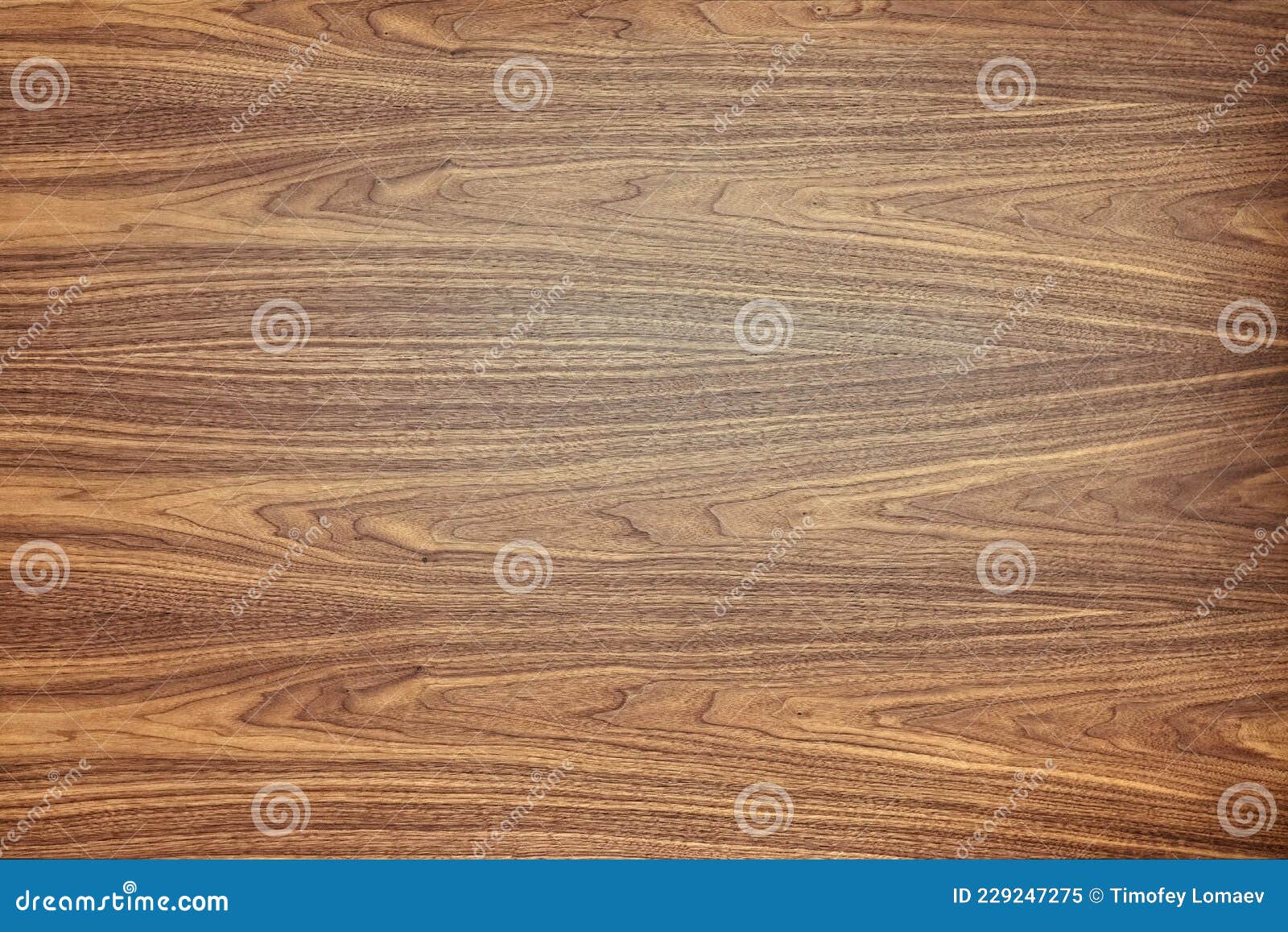 Walnut Wood Veneer Texture with Abstract Patterns Stock Image - Image ...