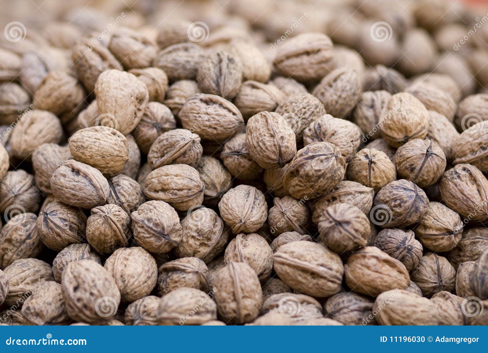 Walnuts stock photo. Image of macro, food, natural, health - 11196030