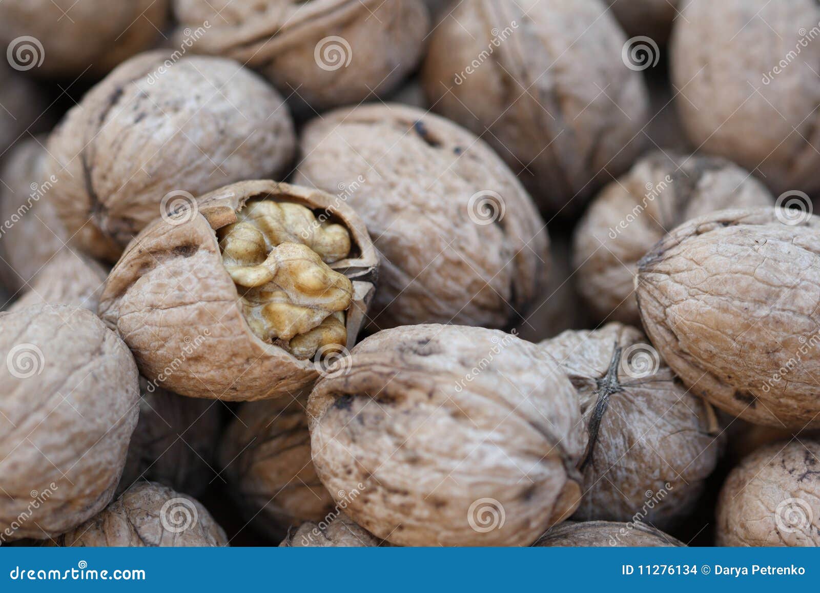 518 Fallen Walnuts Stock Photos - Free & Royalty-Free Stock Photos from ...