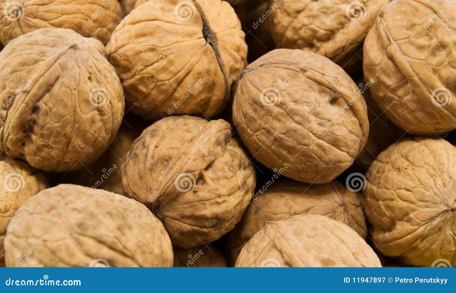 Walnuts stock image. Image of close, small, macro, fruit - 11947897