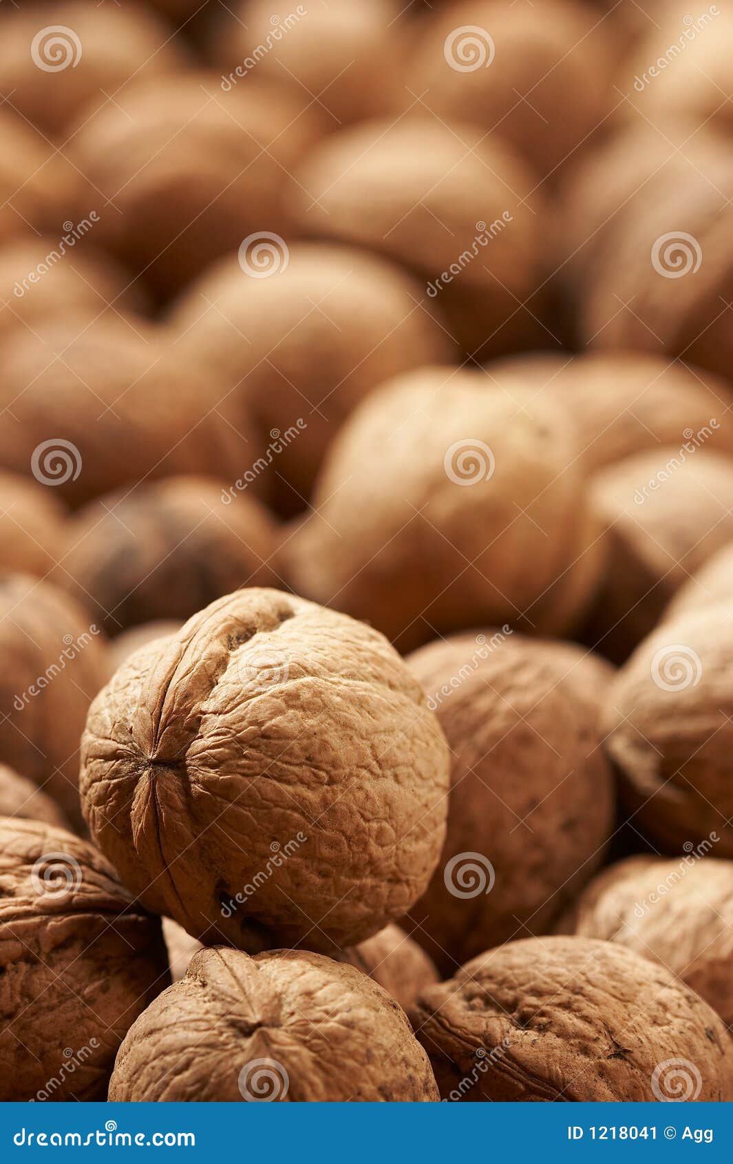 Walnuts stock image. Image of crust, macro, herb, green - 1218041