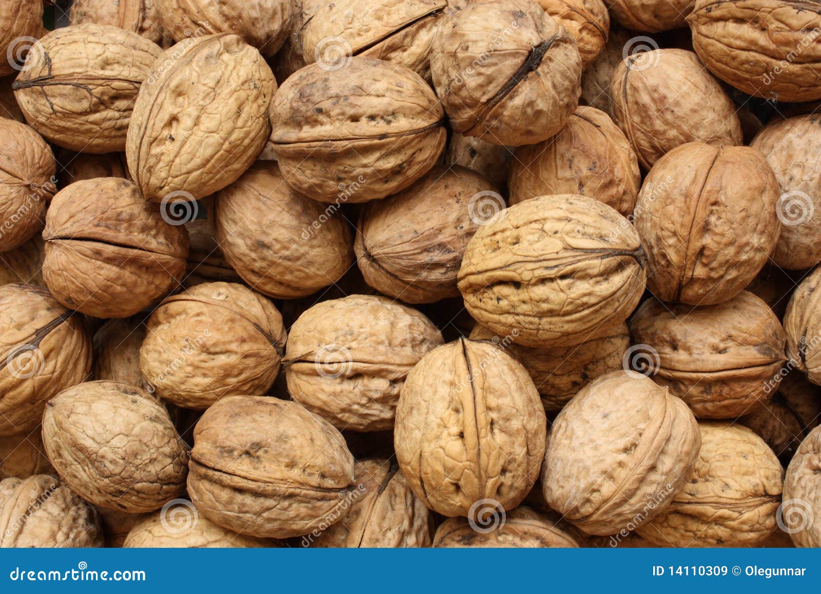 Walnuts. stock image. Image of view, group, pile, food - 14110309