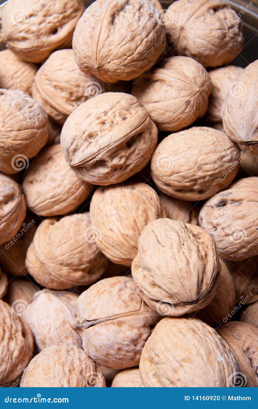 Walnuts stock photo. Image of organic, food, healthy - 14160920