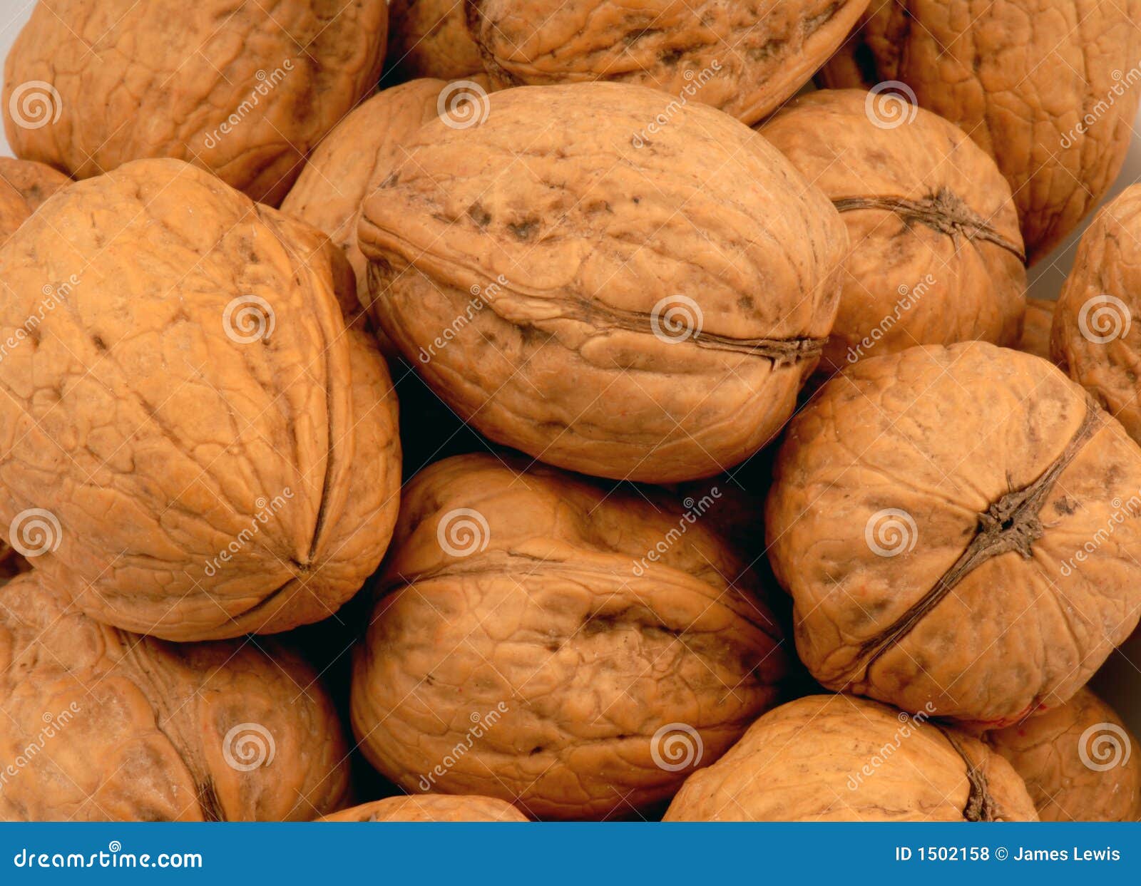Walnuts 2 stock photo. Image of diet, shell, ingredient - 1502158
