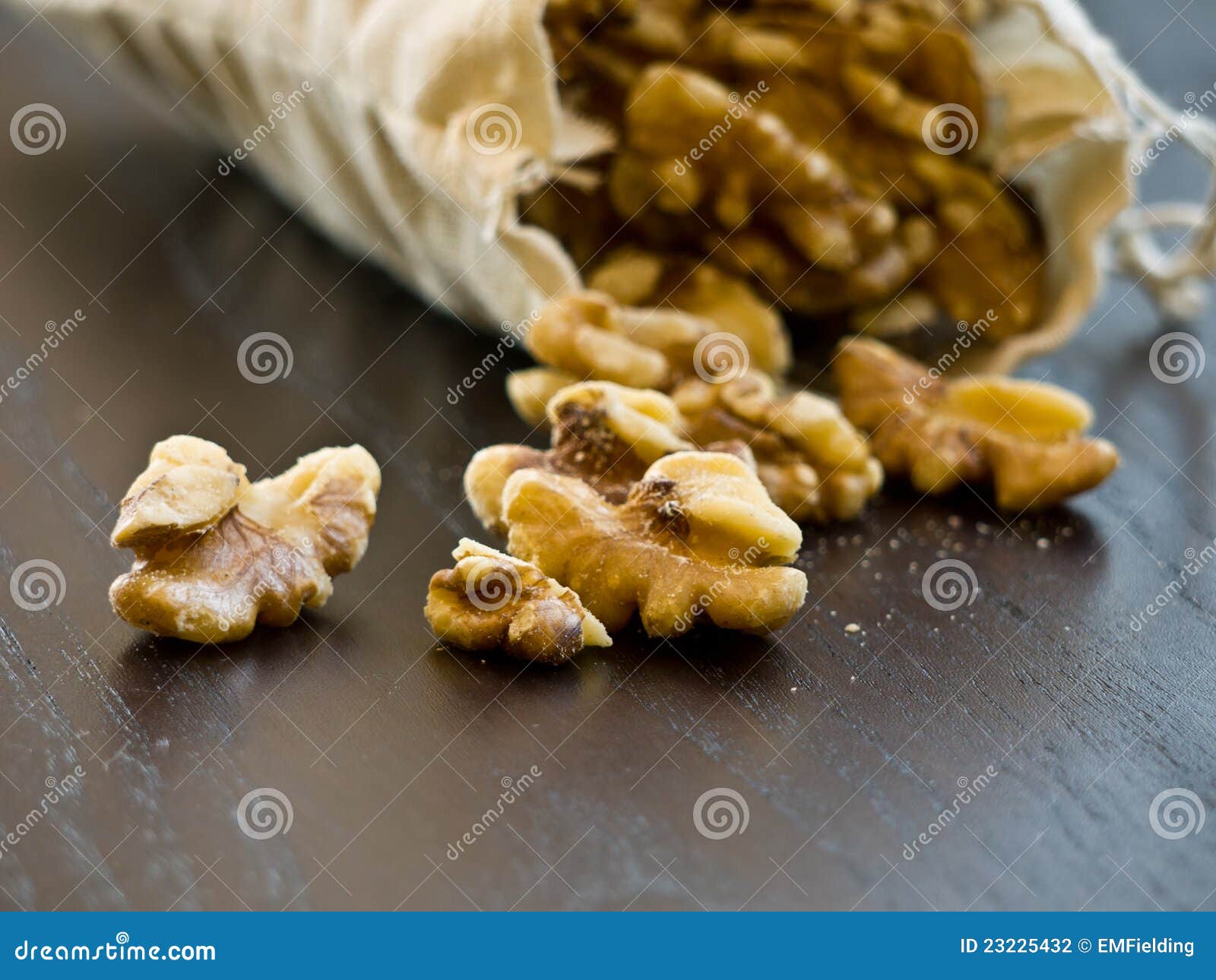 5,498 Nut Family Stock Photos - Free & Royalty-Free Stock Photos from ...