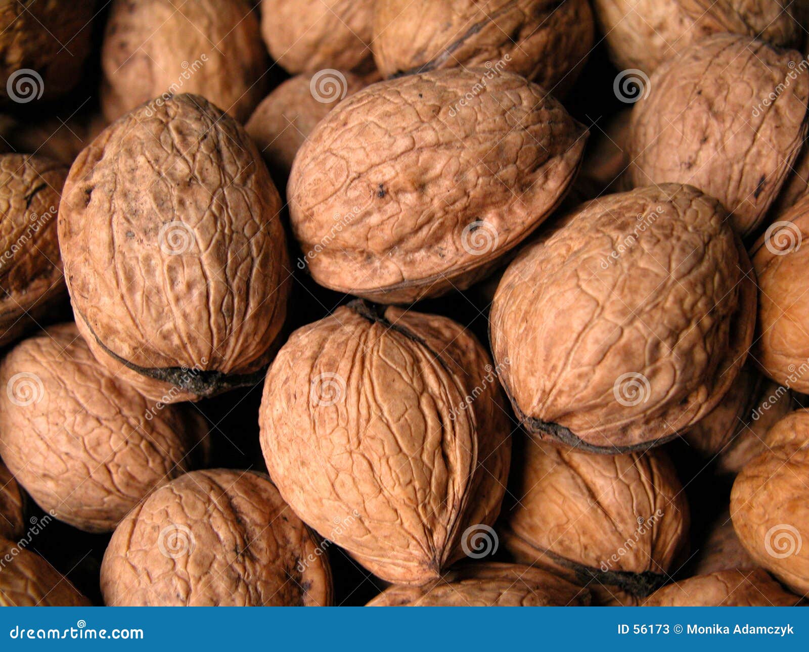Walnuts stock image. Image of nuts, vegetable, food, walnut - 56173