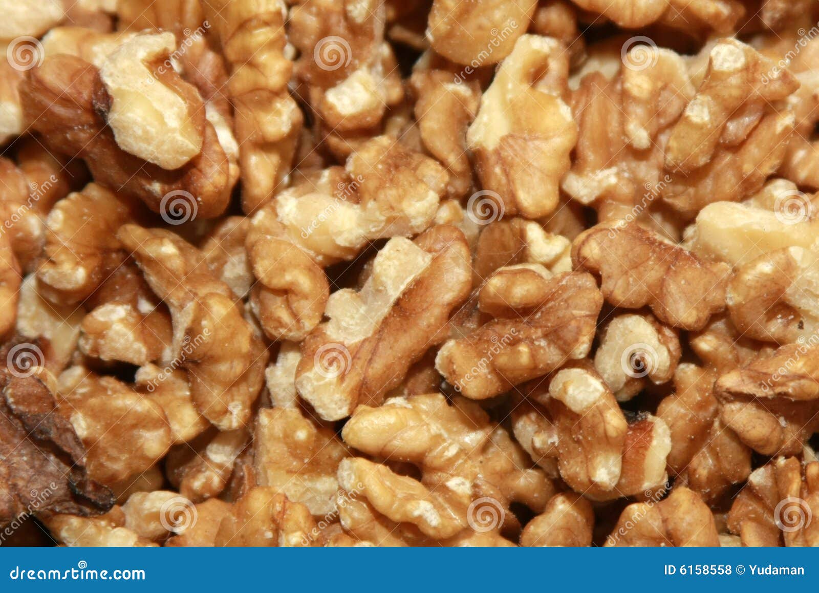 Walnuts stock photo. Image of food, seeds, fresh, pile - 6158558