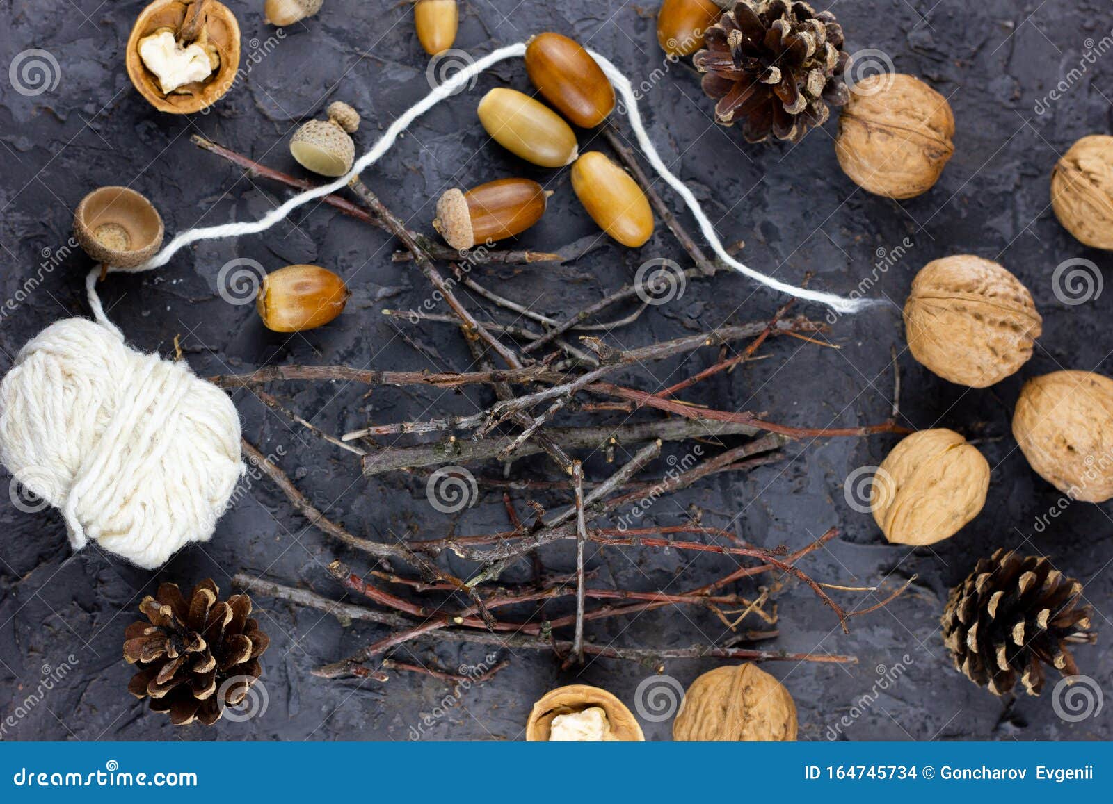 Walnuts, Acorns on a Beautiful Background, Winter Concept Stock Photo ...