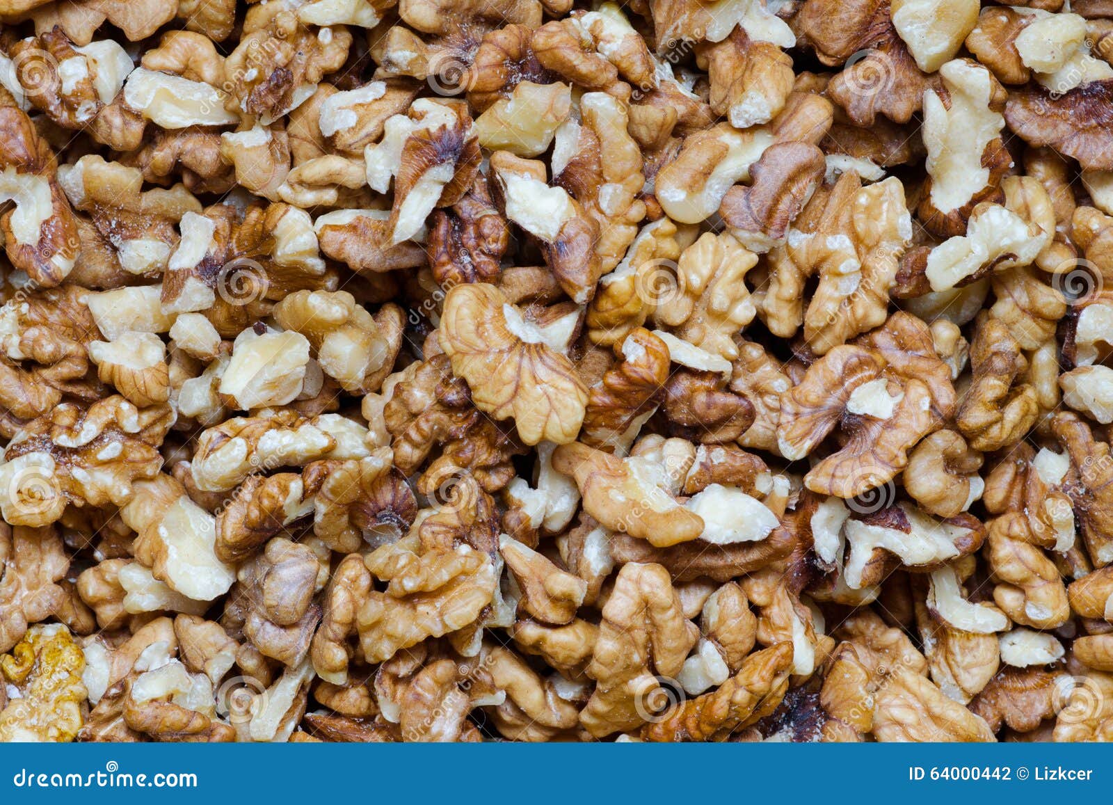 Walnuts background stock photo. Image of kernels, brown - 64000442