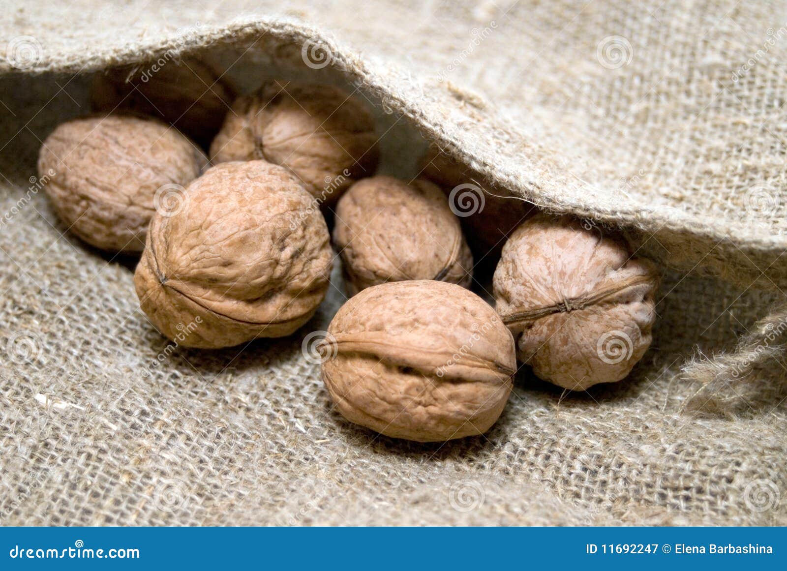 Walnuts in the bag stock image. Image of rough, shape - 11692247