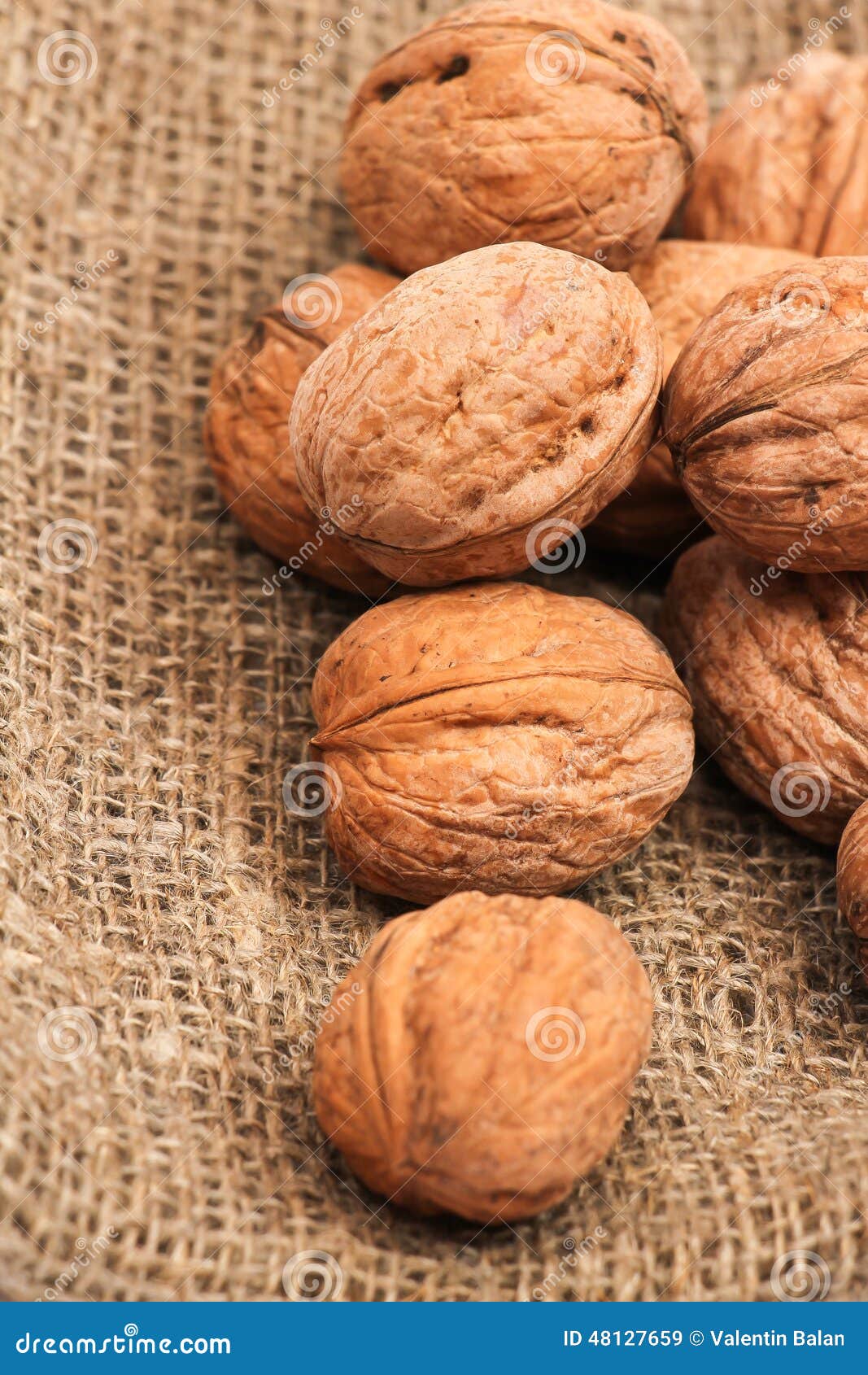 Walnuts in a bag stock image. Image of fruit, sack, nuts - 48127659