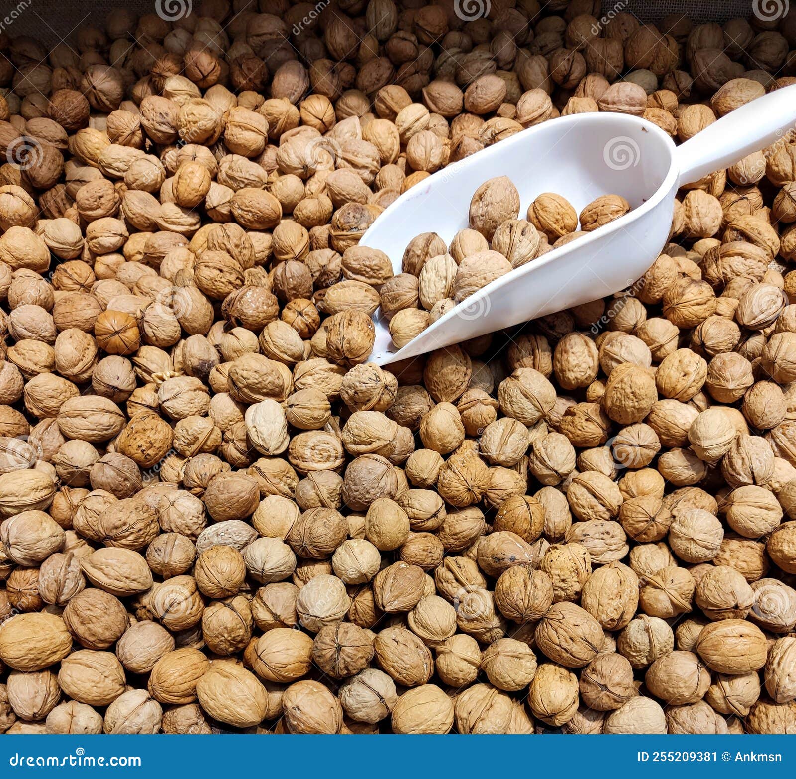 Walnuts in a Brown Shell in the Market. the Most Useful Nuts for Health ...