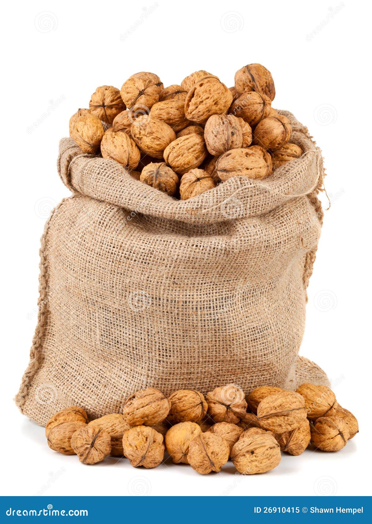 Bag Of Walnuts