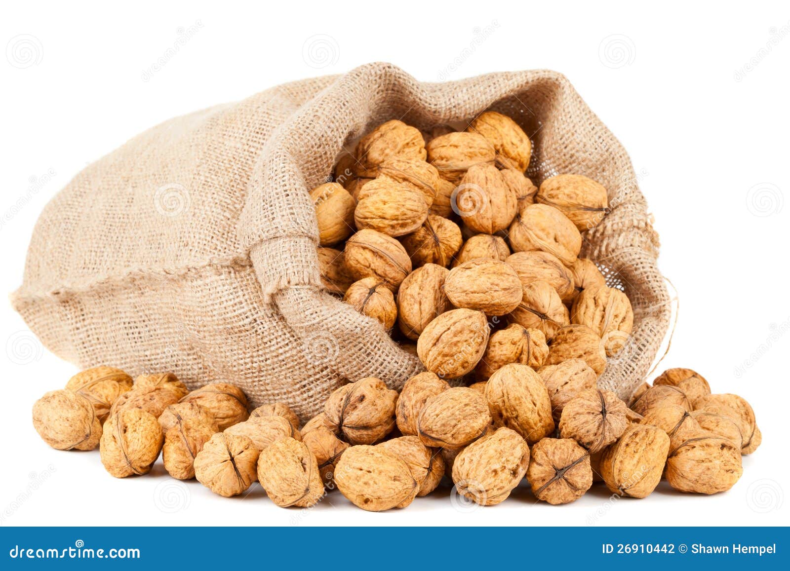Walnuts in burlap bag stock photo. Image of nutrition - 26910442
